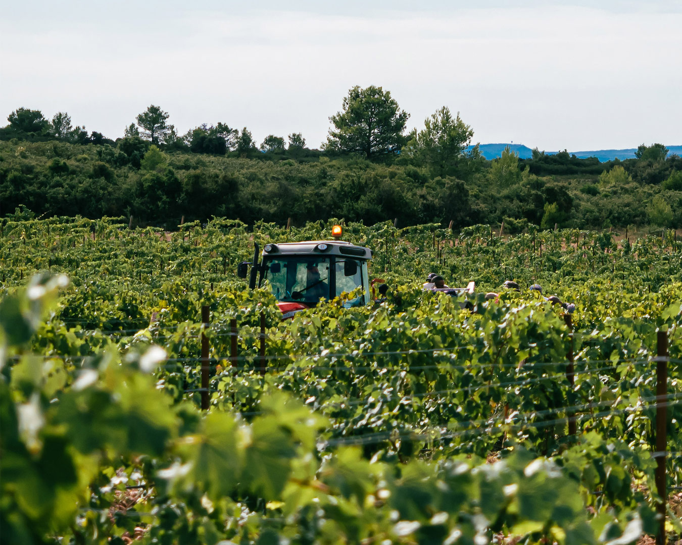 Home - Château Gilbert & Gaillard